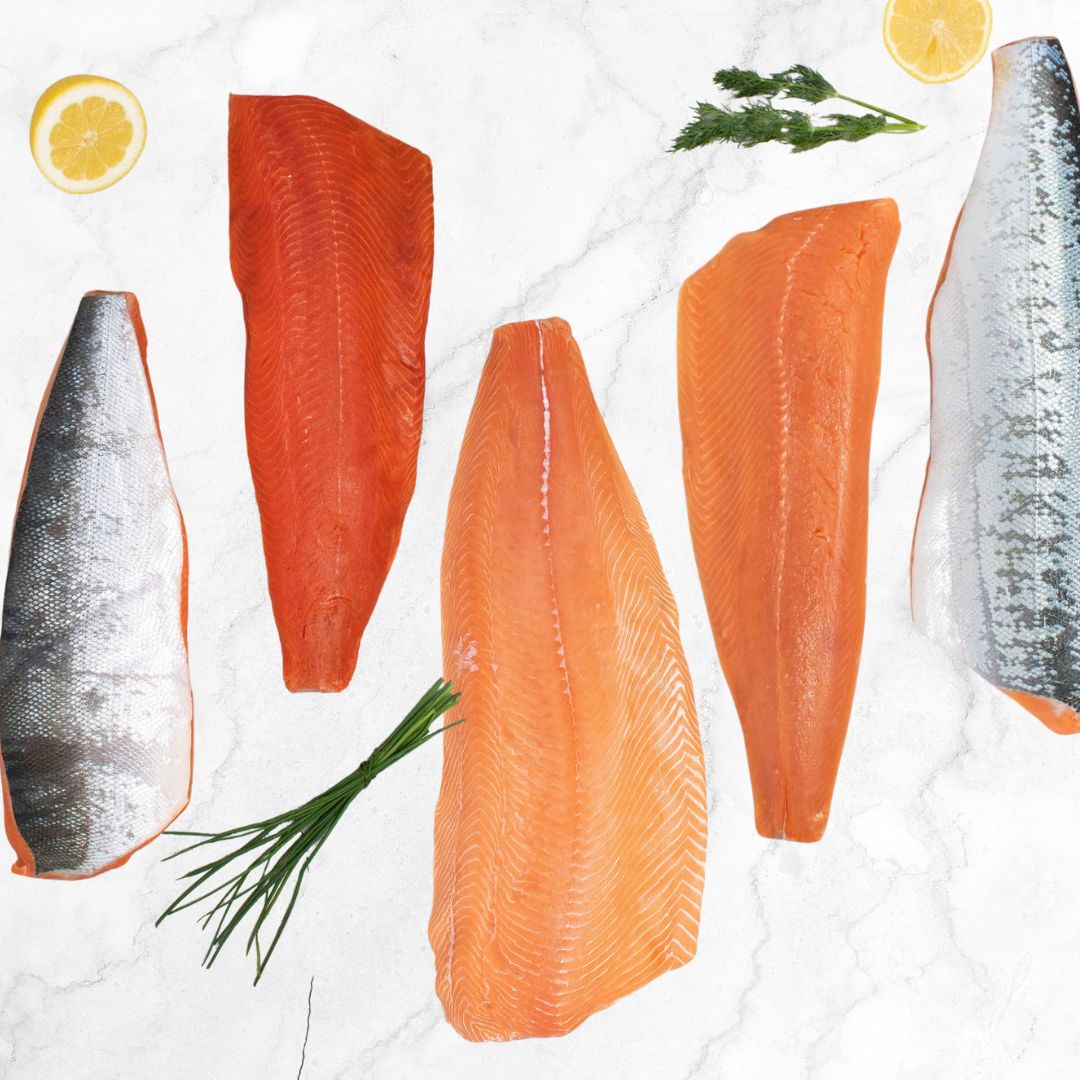 Alaskan Salmon Guide: King vs. Coho vs. Sockeye – Which Is Right for ...
