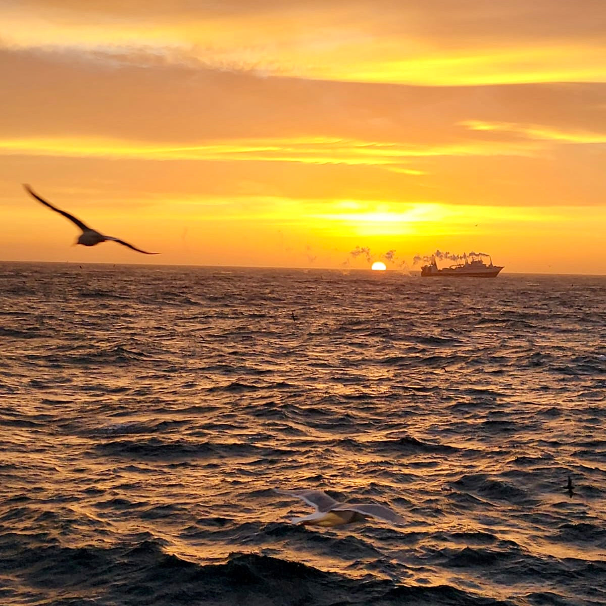 Alaska Trawl Fleet vs. Pot Fishing: Understanding the Impact of Bycatc ...