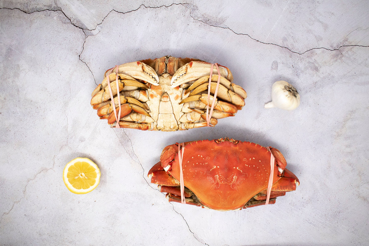 No Thaw, No Problem: How to Cook Frozen Seafood | Whidbey Seafoods ...