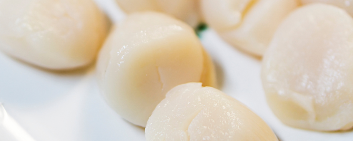 Scallops – Whidbey Island Seafood Company