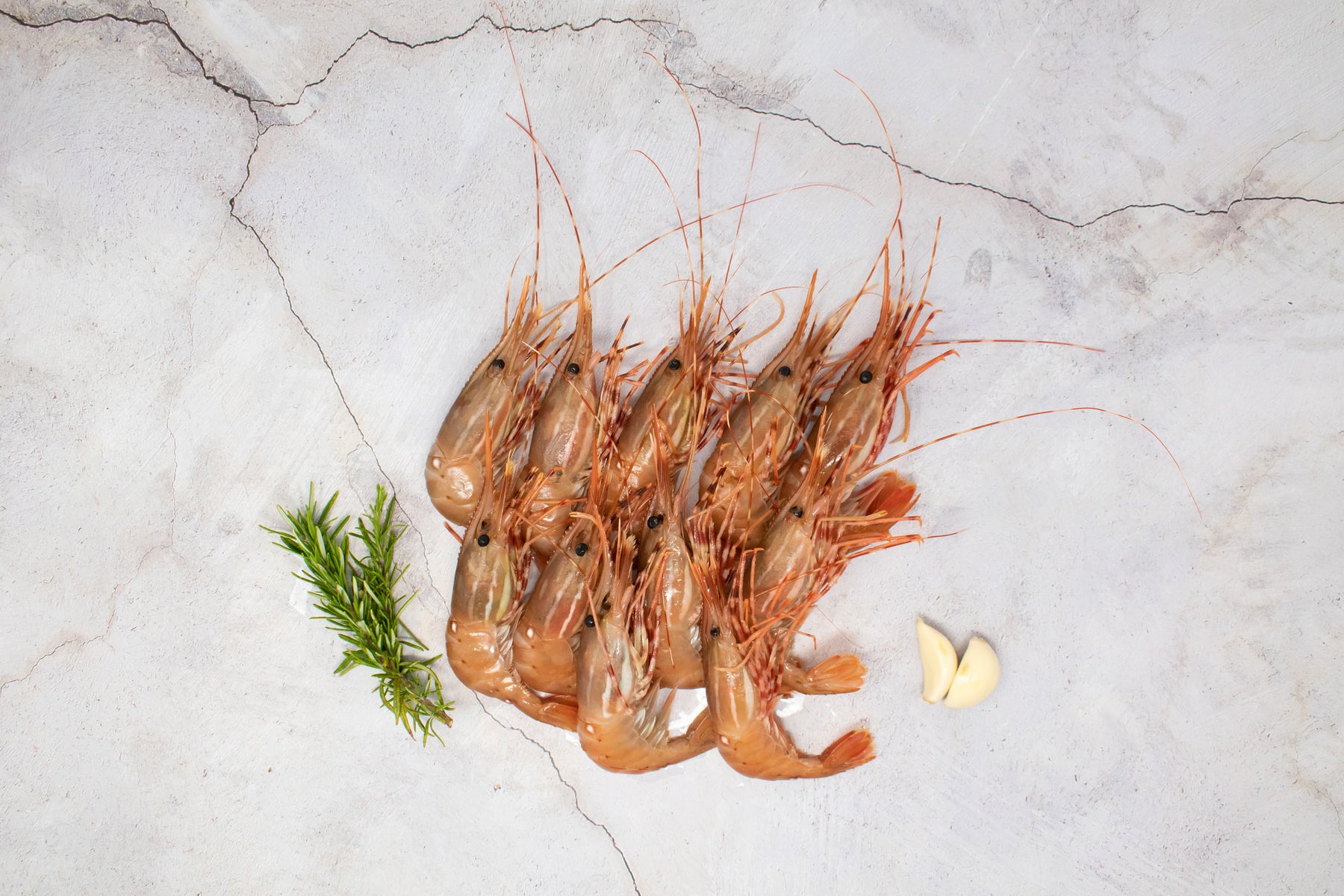 Buy Wild Caught Canadian Spot Prawns (Sashimi) | Whidbey Seafoods ...